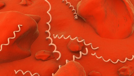 Syphilis: Is It Back and Do You Need To Worry? | Cancer